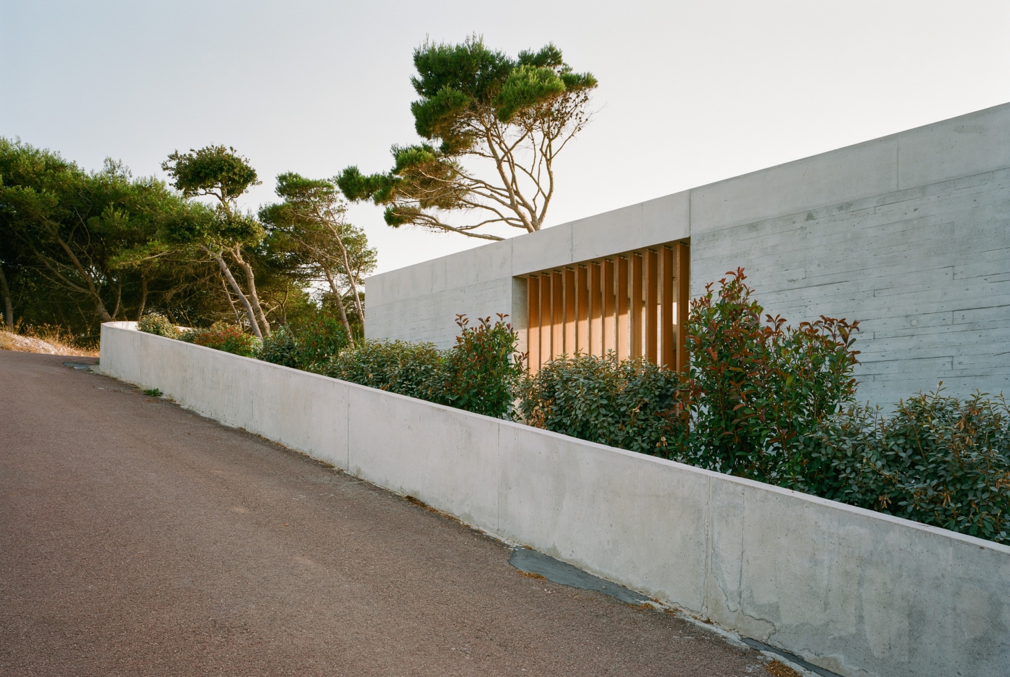 Orma Architettura | Casa S